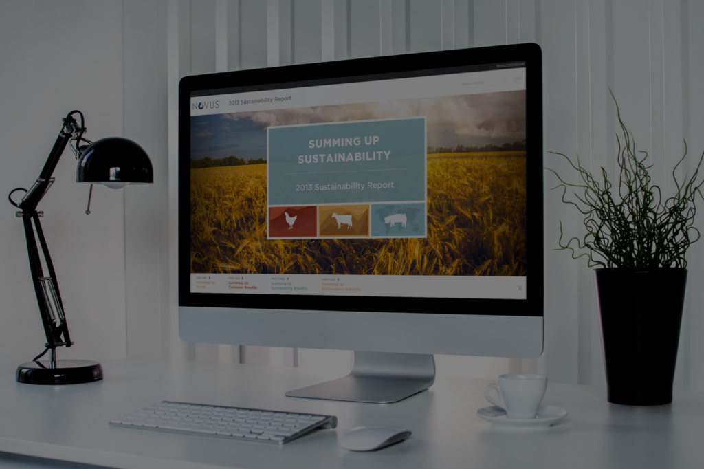 Our Work - Enliven